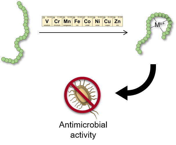 Research – Stevenson Lab