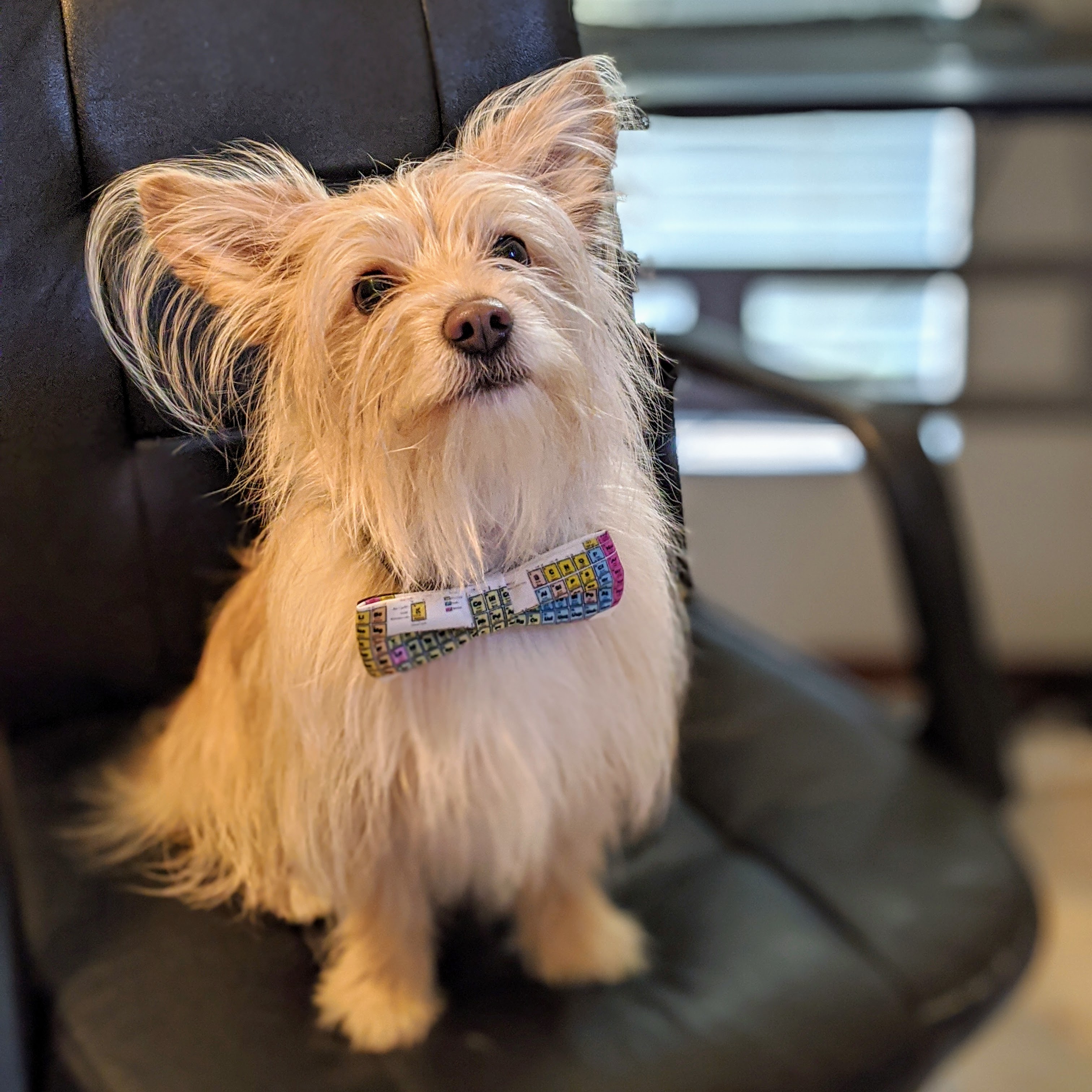 Members – Stevenson Lab